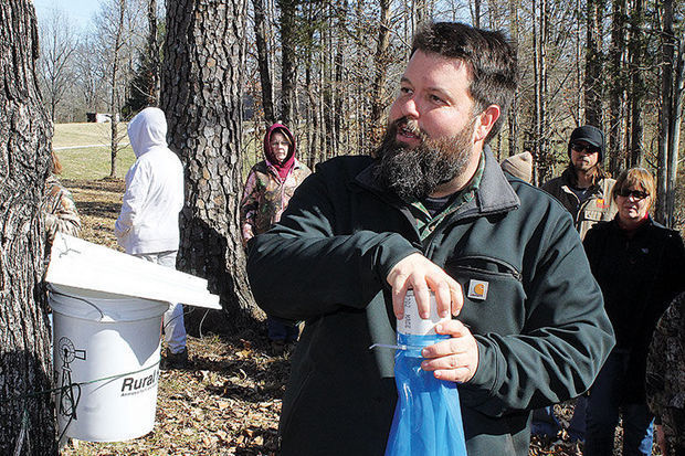 How to tap maple syrup in your own backyard