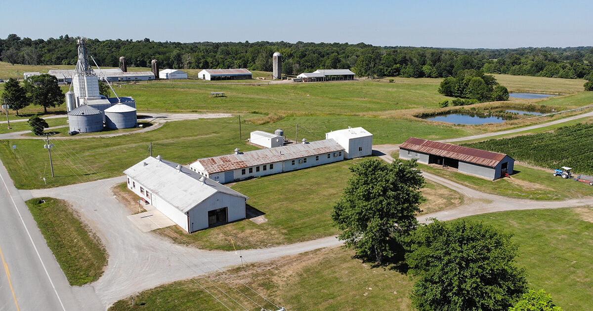 SIU sustainability interns create interactive maps highlighting green ...