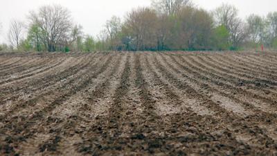 Farmers find best ways to manage crops on diverse soils in Illinois ...