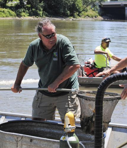 Natural resources official at Mazonia-Braidwood Fish and Wildlife Area ...