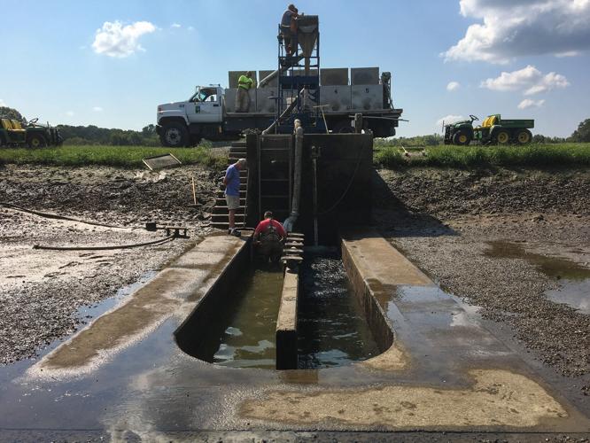 Outdoors | Little Grassy Fish Hatchery is a hidden gem in Southern ...