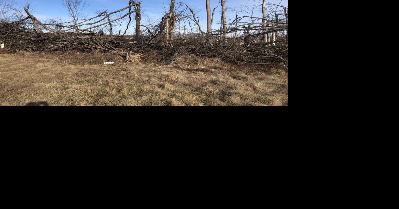 Williamson County adopts community wildfire protection plan | Latest ...