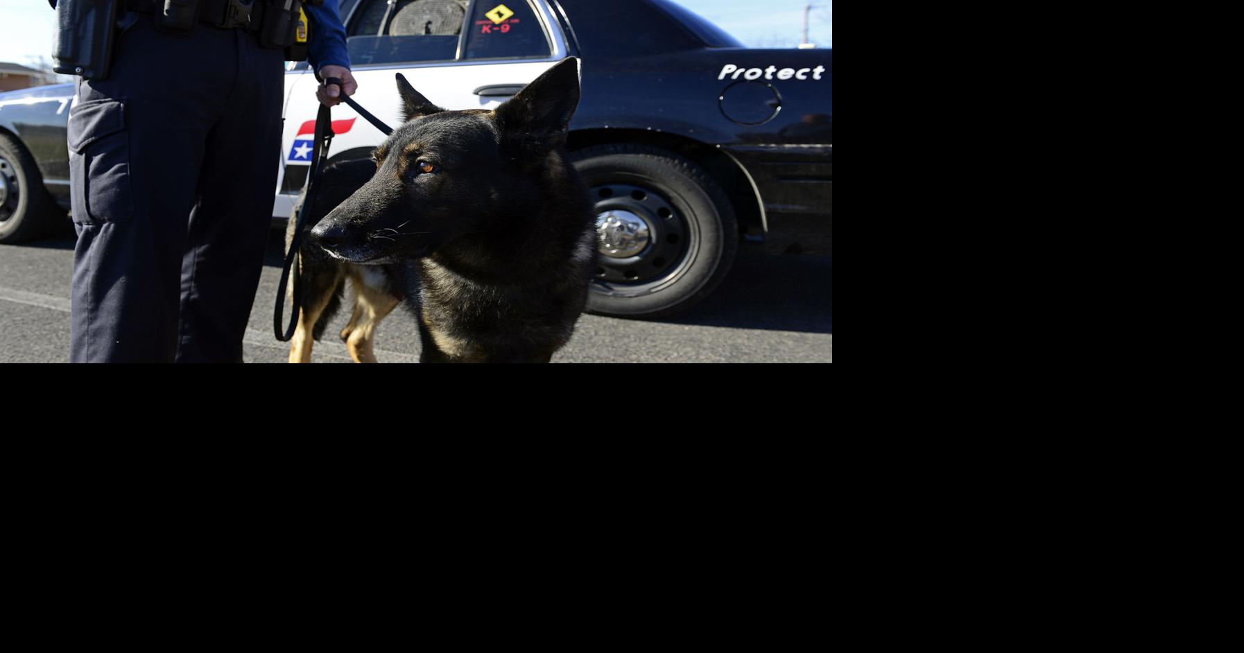 Police and fire dogs have big role in the department | Carbondale ...