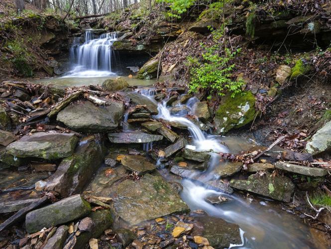 Jennifer Randolph-Bollinger is IDNR's Region V Employee of the Year ...