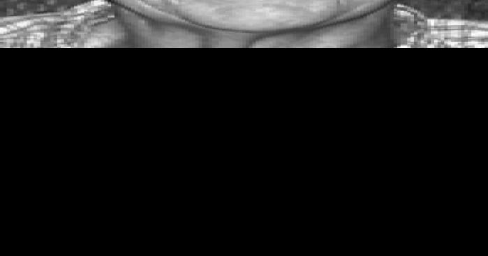 Gary Saylor | Obituaries | thesouthern.com