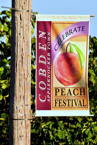 Peach Festival coming to Cobden on Friday | Local News | thesouthern.com