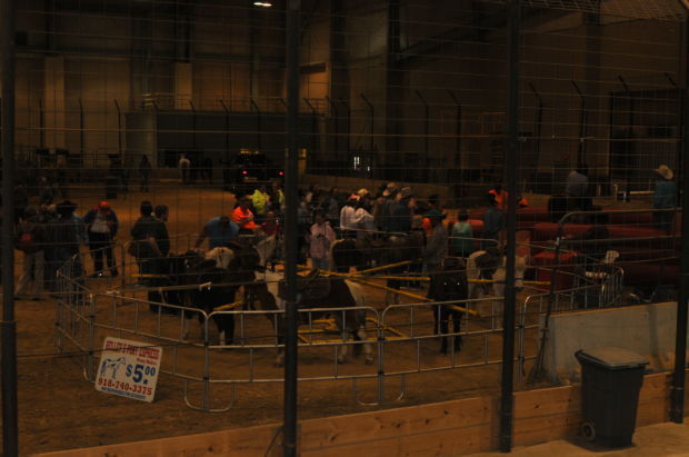 Special Olympic athletes treated to VIP Rodeo experience | Du Quoin ...