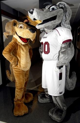 Check out the new dawgs in town | Latest Headlines | thesouthern.com