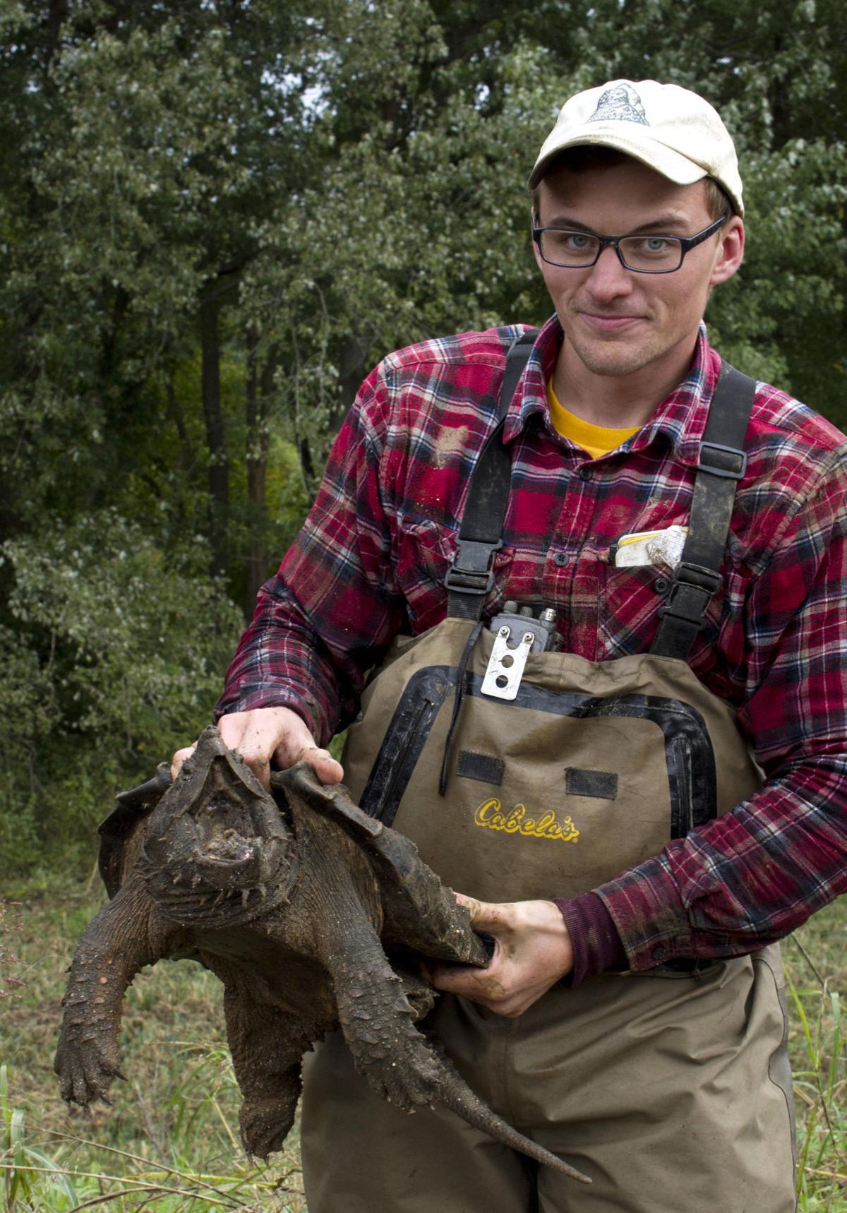 First wild alligator snapping turtle found in Illinois in 30 years ...