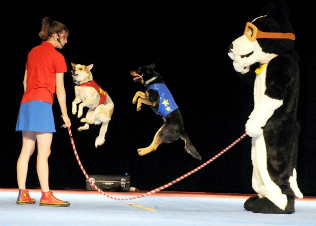 Stunt dogs raise the woof | Local News | thesouthern.com