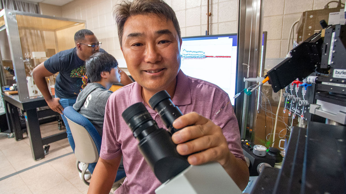 Grant will allow SIU professor to research inflammation | Education ...