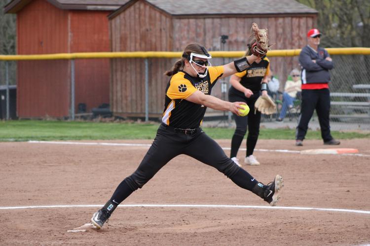 Top of Goreville's order leads Blackcats over Redbirds | Latest ...