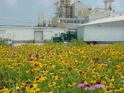 Unimin Corporation in Tamms, Elco honored by IAAP | Achievements ...