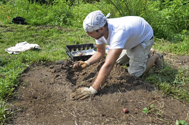 Cobden farm is latest to gain USDA organic certification | Environment ...