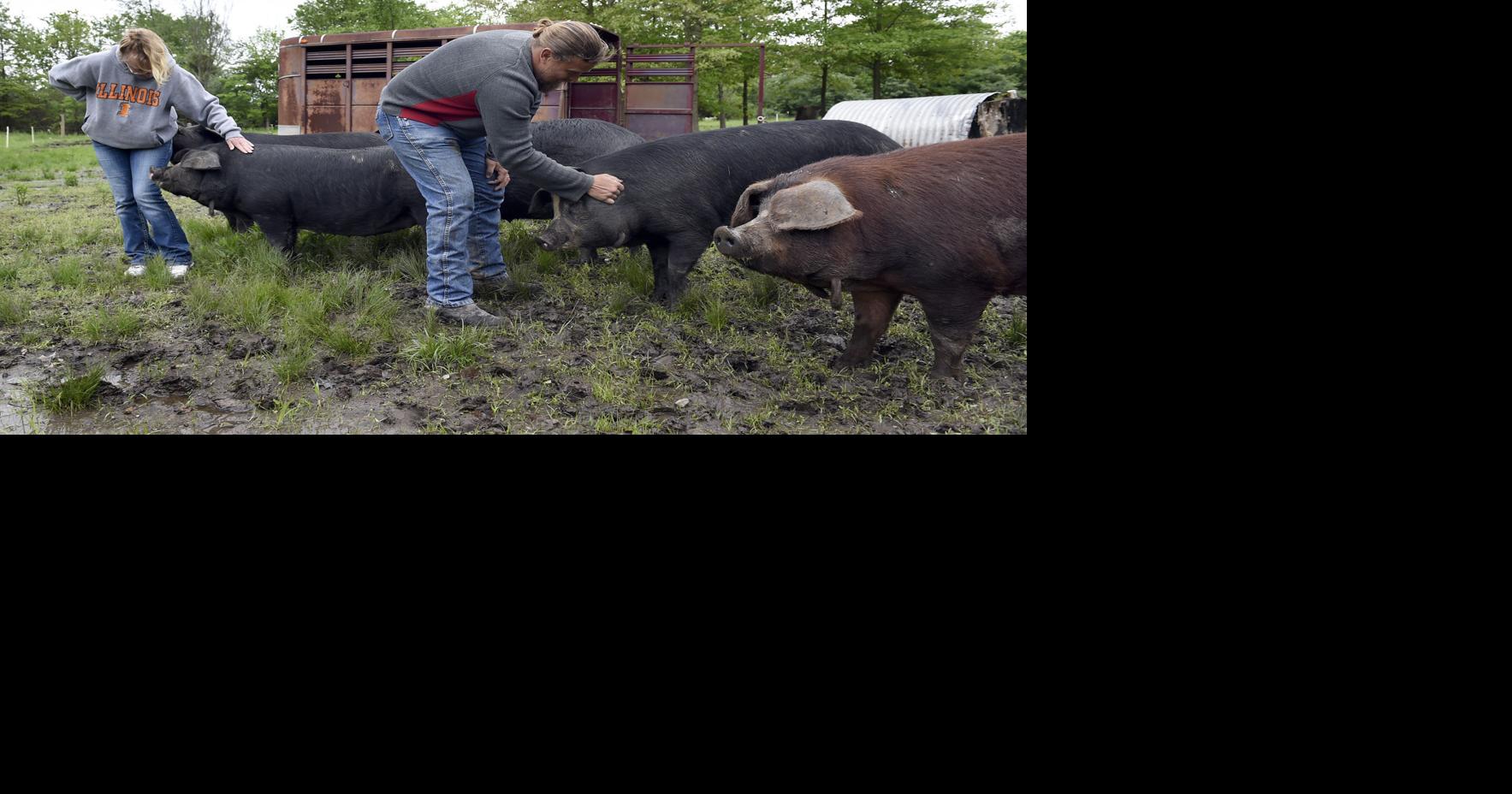 Big Muddy Hogs brings flavor to the table | Environment | thesouthern.com