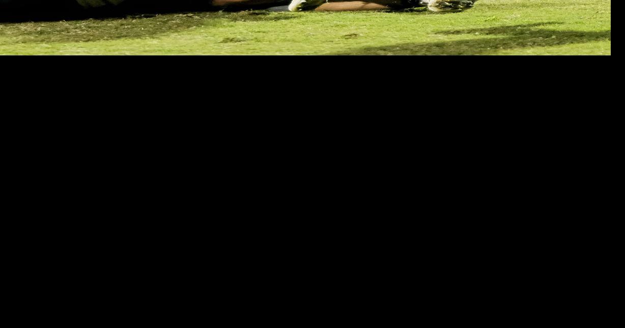 Prep Football | Johnston City defeats Sesser-Valier to remain ...