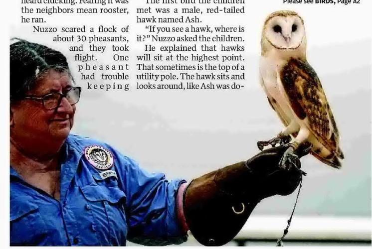 BRILLIANT BIRDS | | thesouthern.com