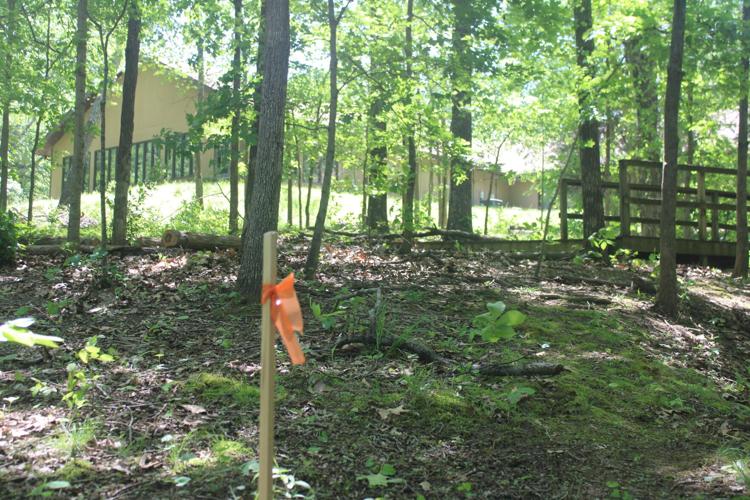 Touch of Nature eyes building new lake with Little Grassy drained ...