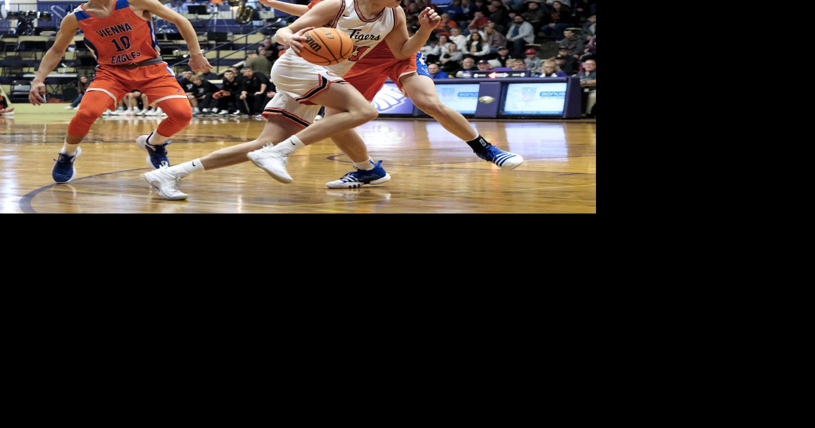 Boys Basketball | Herrin makes case for best hoops team in Southern ...