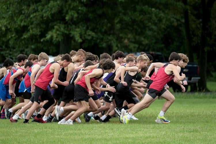 Cross Country: Du Quoin girls, Herrin boys get team wins | High School ...