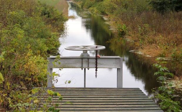 Duck Haven: Mermet Lake transforms into great place to hunt | Sports ...