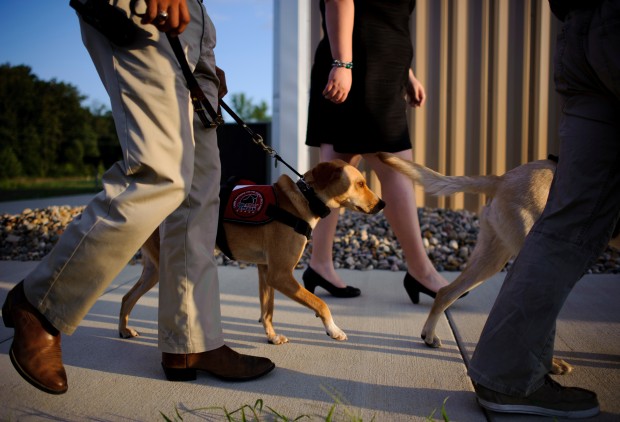 A squad of two: Local group gives vets new mission | Local News ...