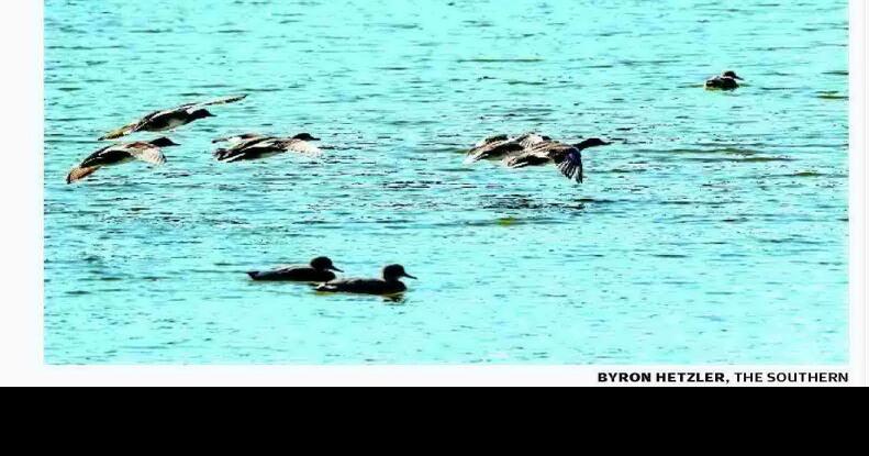 CLEARED FOR LANDING | | thesouthern.com