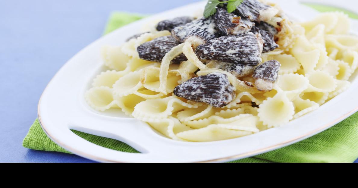 Recipe: Morel Pasta | Food-and-cooking | thesouthern.com