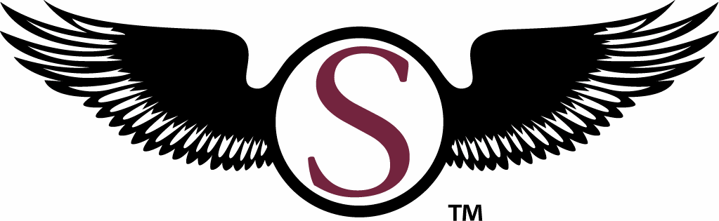 Saluki Athletics logos through the years | History | thesouthern.com