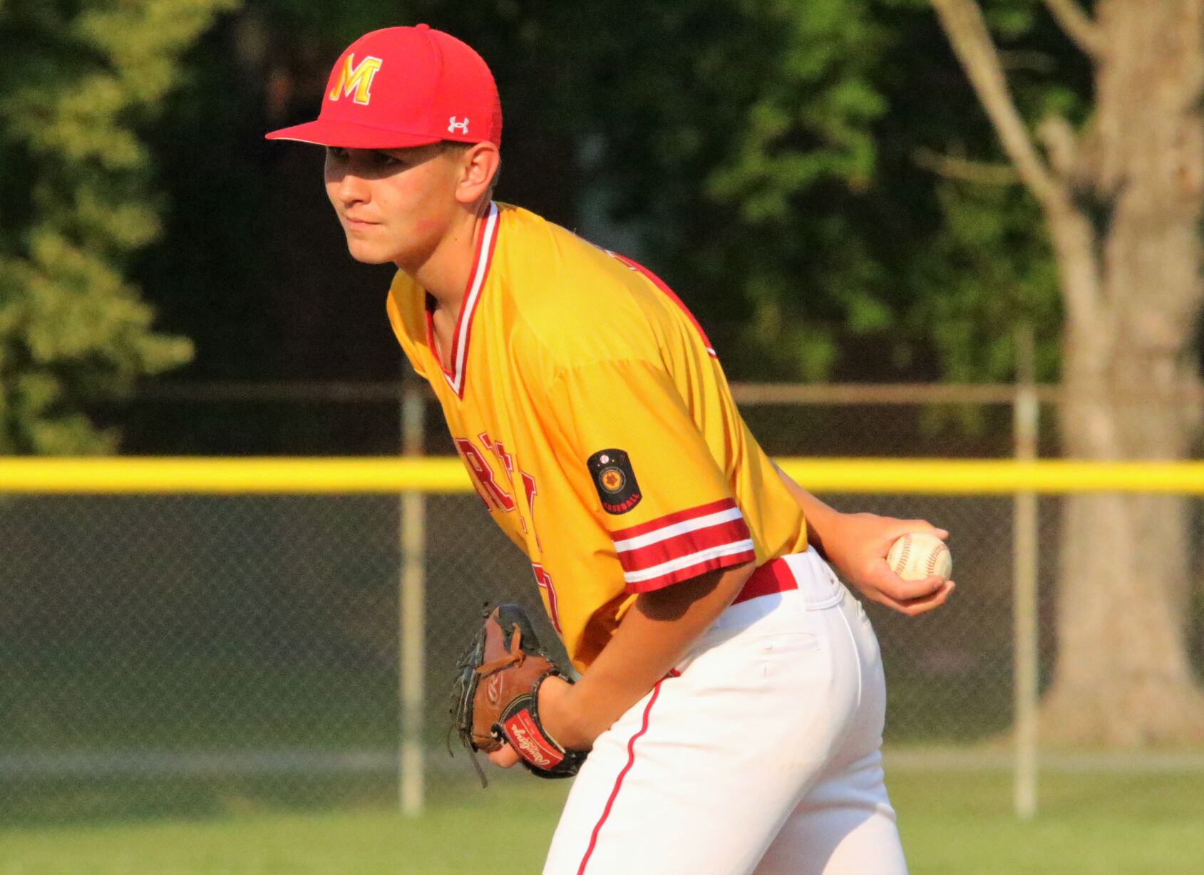 Traveling Smithosian exhibit stops in Energy Illinois | Local News | thesouthern.com