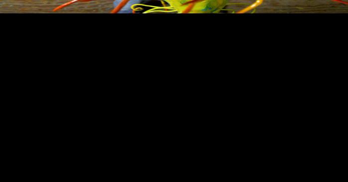 Lee Littlefield made mark here and Texas, too | Local News ...