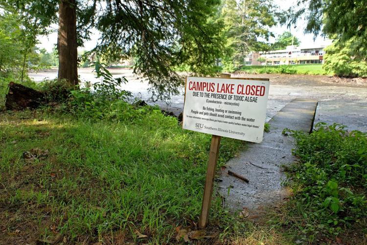 Fixing Campus Lake: SIU officials reflect on what lake means to ...