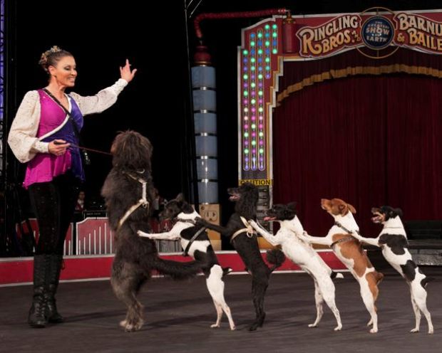 Family business: Catherine Carden brings eight generations of circus ...