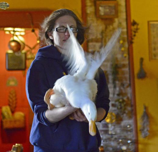 Makanda animal rescuers provide loving home to disabled animals ...