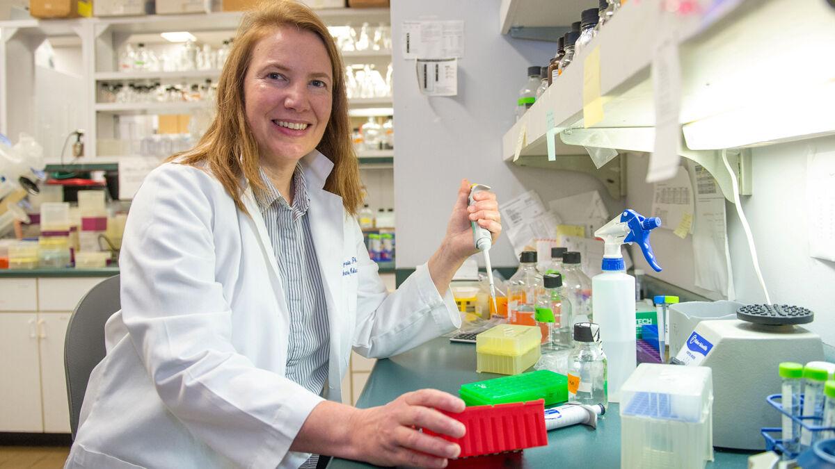 SIU professor gets $445K grant for cancer research | SIU | thesouthern.com