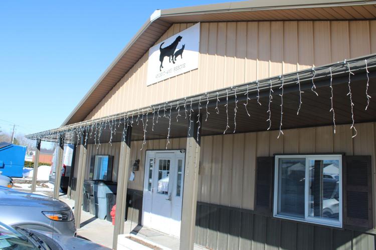 Wright-Way Rescue, community partners launch Vets & Pets program in ...