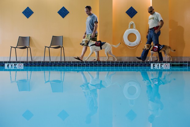 A squad of two: Local group gives vets new mission | Local News ...