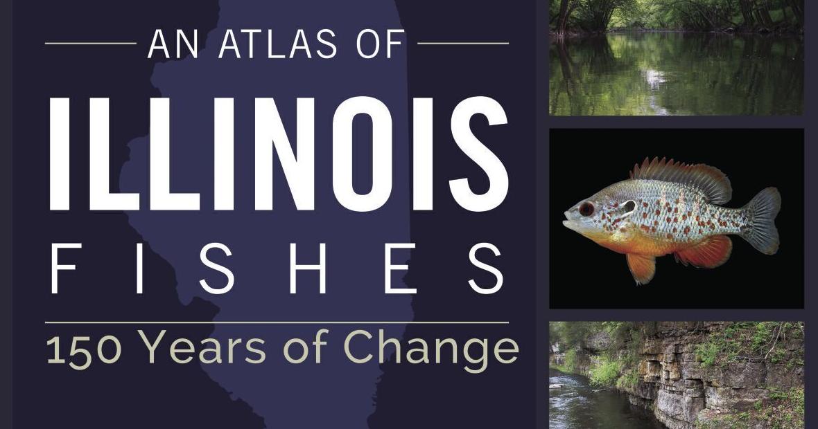 Outdoors | An Atlas of Illinois Fishes: 150 Years of Change makes a ...