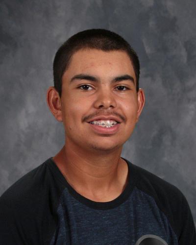 Cobden High School | Education | thesouthern.com