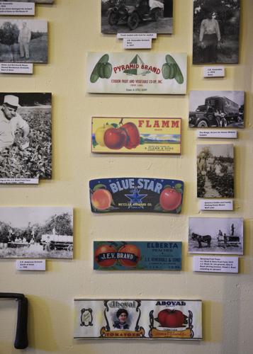Union County Museum keeps history alive in Cobden | Anna | thesouthern.com