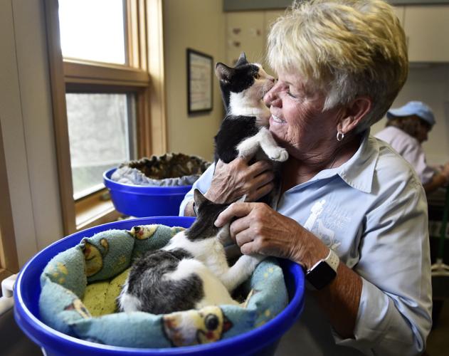 Profile | Do you know ... Diane Daugherty? | Magazine | thesouthern.com