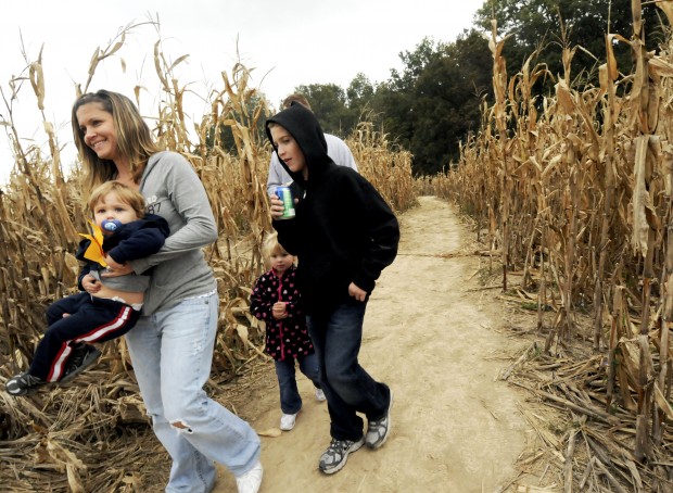 Lost in the maize: J.T. Bandy’s corn maze honors 4-H | Local News ...