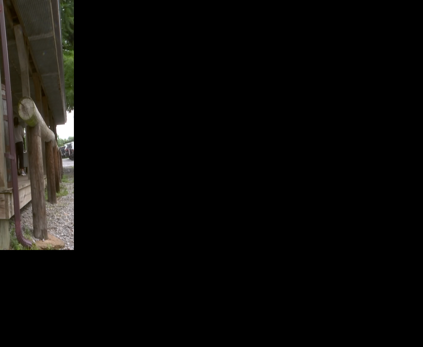 'Bigfoot Day' draws families to Garden of the Gods Outpost for ...