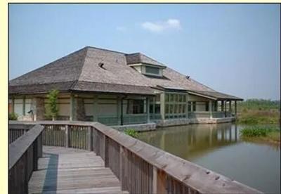 Cache River Wetlands Center to host a program on drawing birds to your ...