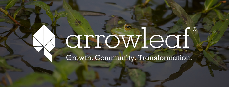 Arrowleaf celebrates 50th years of serving Southern Illinois | Latest ...