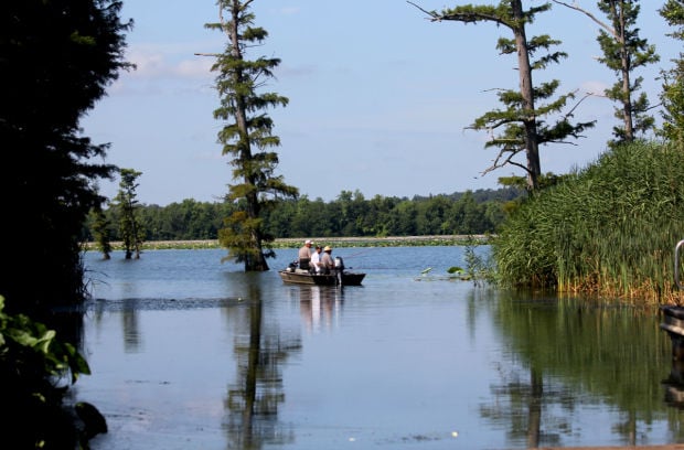 A magical habitat that blooms with features on all sides