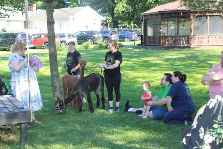 Marion Library Story Hour features alpacas | Latest Headlines ...