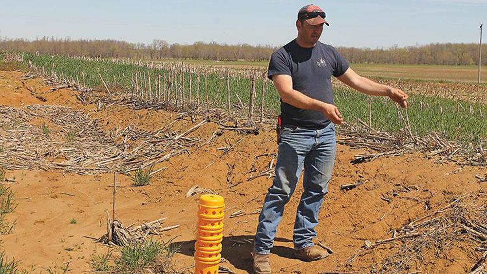 Drainage system of terraces, tiles keeps farm’s soil where it belongs ...