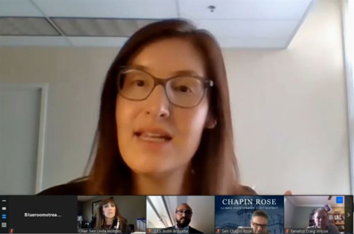 Illinois Senate committee questions IDES director, staff over ...