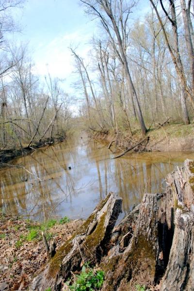 Annual 'Cache River Days' set for September | Local News | thesouthern.com